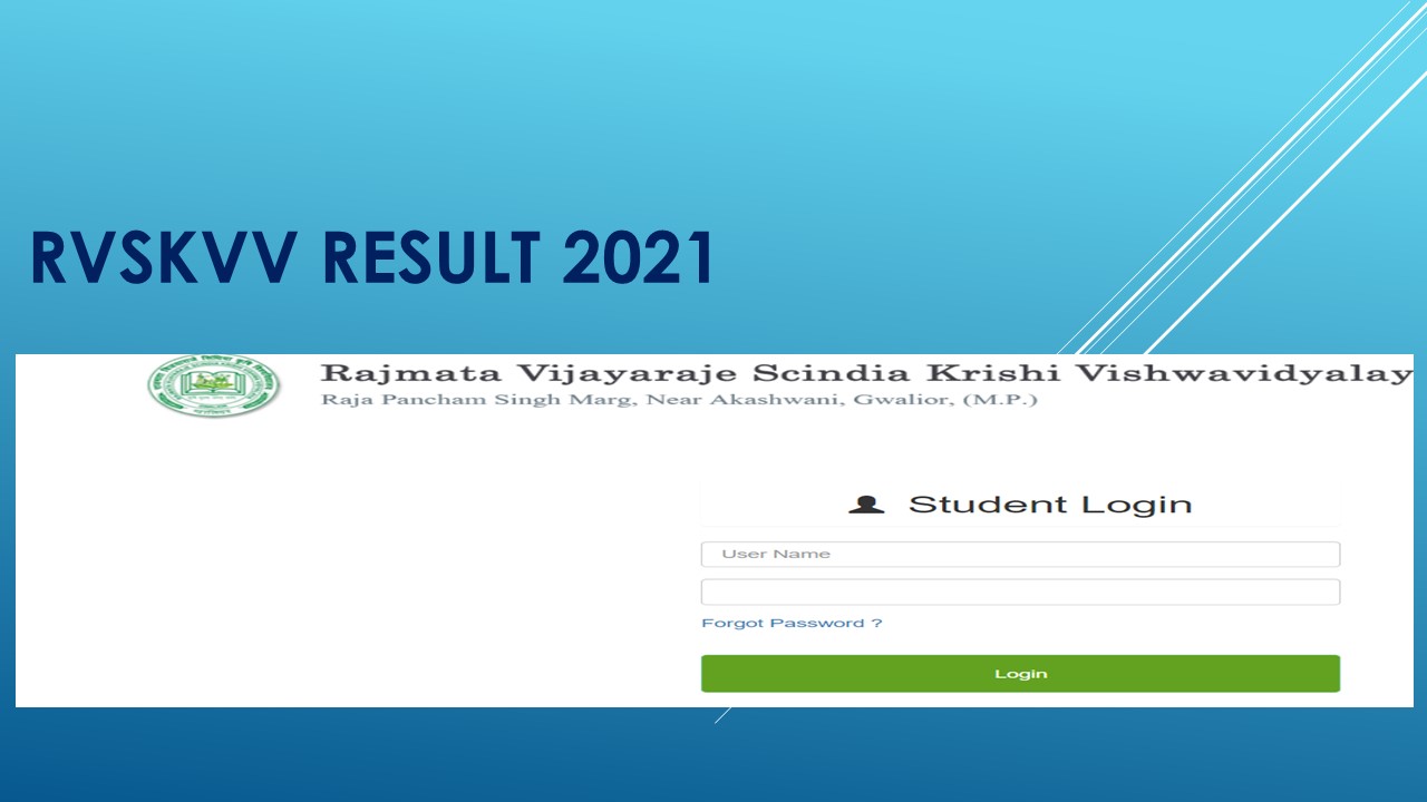 RVSKVV Result 2021 RVSKVV Gwalior Results BA B.Com B.Sc BBA Revaluation ...
