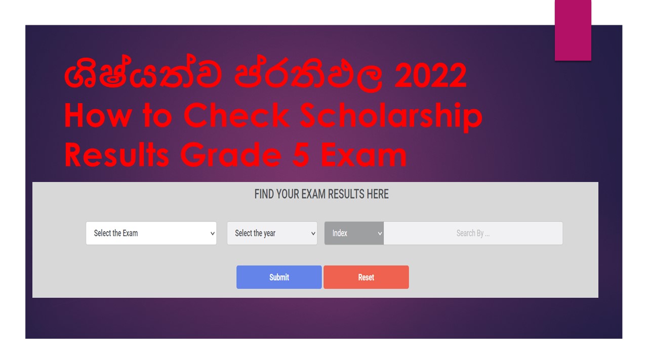ශිෂ්යත්ව ප්රතිඵල 2023 Grade Five | How to Check Scholarship Results ...