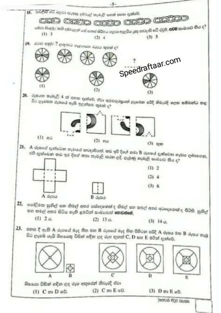 Grade 5 Scholarship Exam Paper Answer 2024 Download Pdf Grade 5 Answer ...