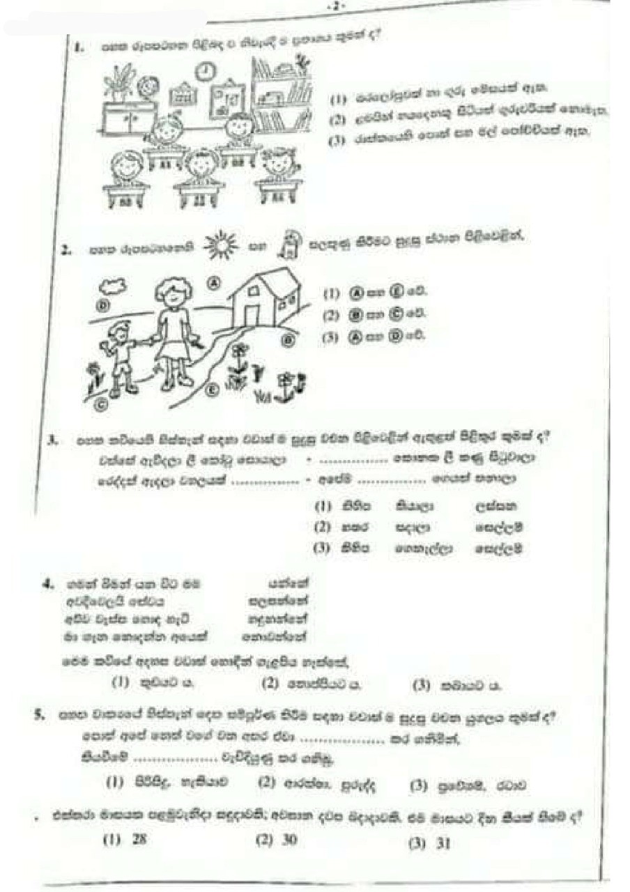 Grade 5 Scholarship Exam Paper Answer 2024 Download Pdf Grade 5 Answer ...