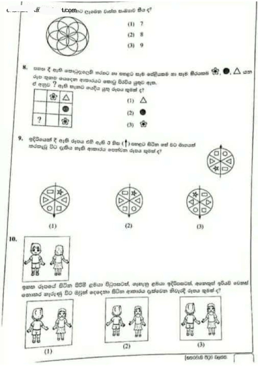 Grade 5 Scholarship Exam Paper Answer 2024 Download Pdf Grade 5 Answer ...