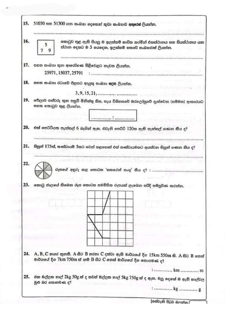 Grade 5 Scholarship Exam Paper Answer 2024 Download Pdf Grade 5 Answer ...