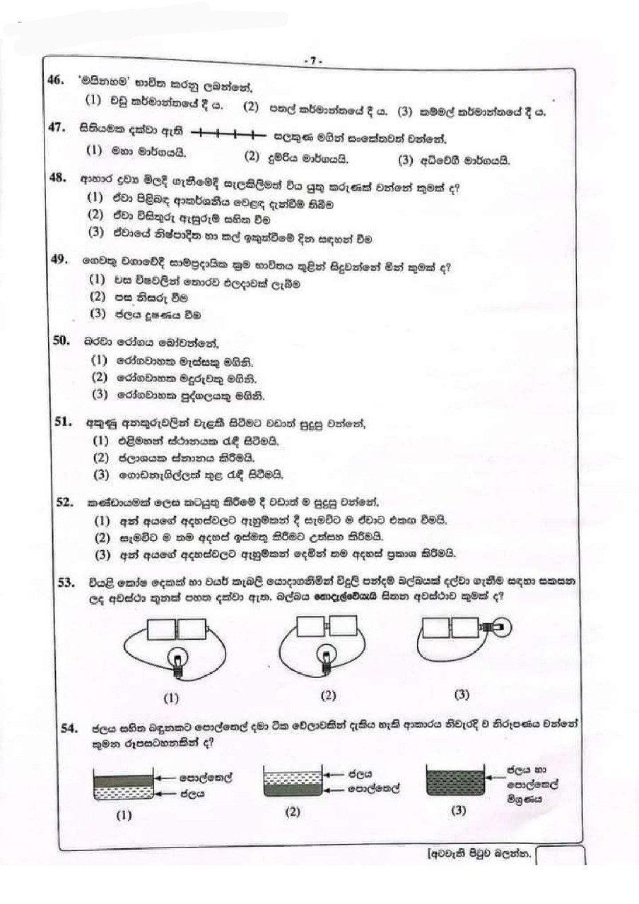 Grade 5 Scholarship Exam Paper Answer 2024 Download Pdf Grade 5 Answer ...