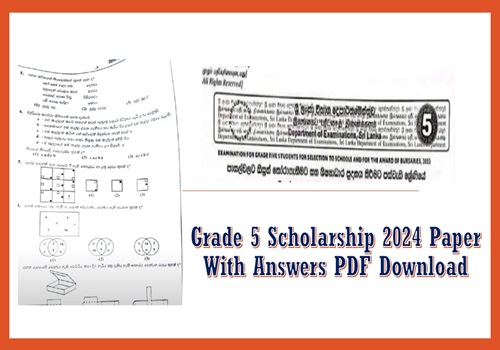 OUT-2024 ශිෂ්‍යත්ව විභාගයේ පත්‍රයේ පිළිතුරු| Grade 5 Scholarship Paper ...