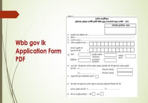 (June)Welfare Benefits Board Application Form 2024 PDF-Download www.wbb ...