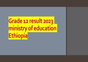Grade 12 Result 2023 Passing Marks Ministry of Education www.neaea.gov ...