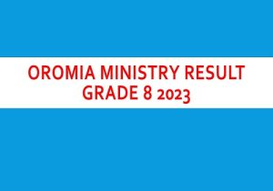 Oromia Ministry Result Grade 8 2015 Results Oromia Education Bureau et 2023