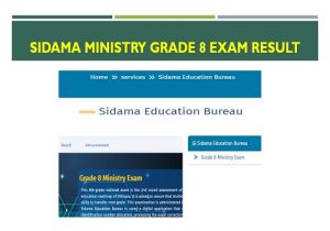 sidama.ministry.et Grade 8 Ministry Exam Result 2015/2023-Out Sidama ...