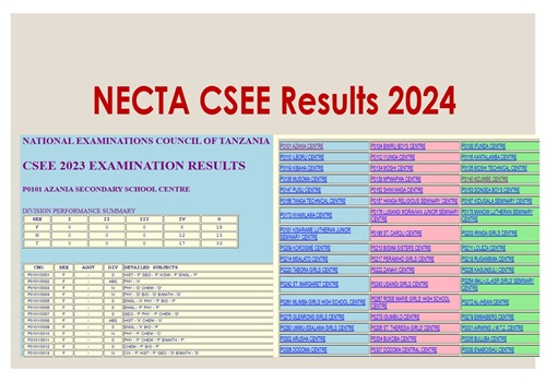 OUT-NECTA CSEE Results 2024-Link Form Four NECTA Result| Matokeo Kidato Cha Nne