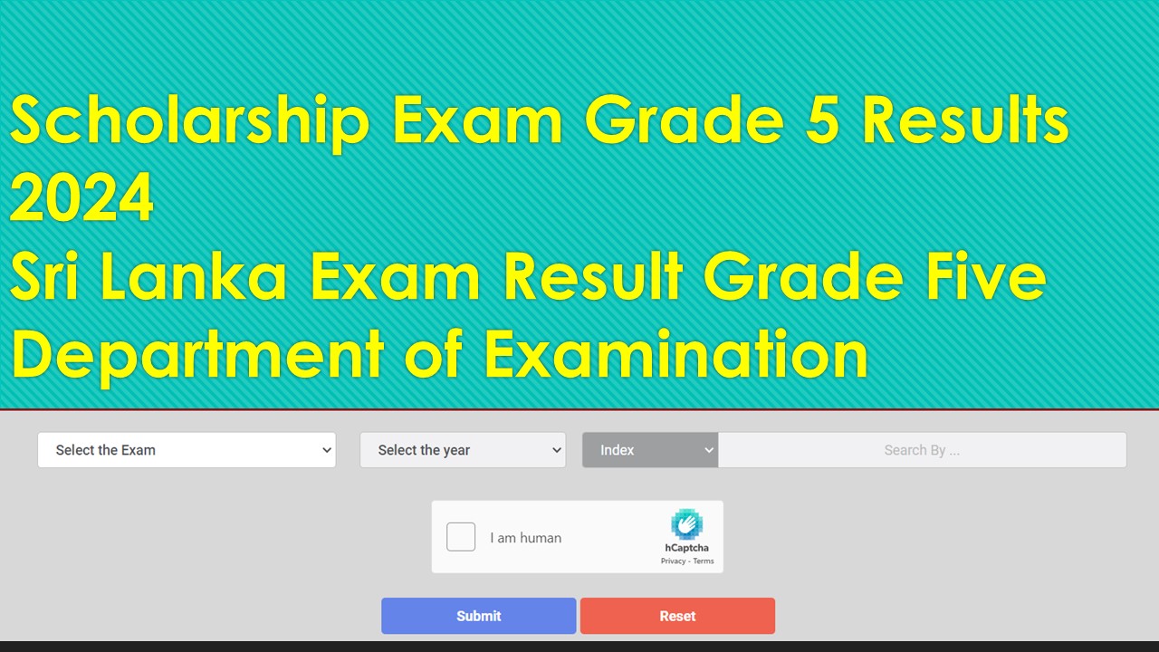 www.doenets.lk results 2024 grade 5 scholarship exam