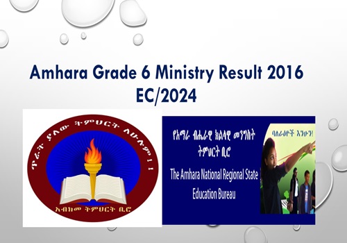 Link-Amhara Grade 6 Ministry Result 2016/2024| የአማራ 6ኛ ክፍል ውጤት ካርድ