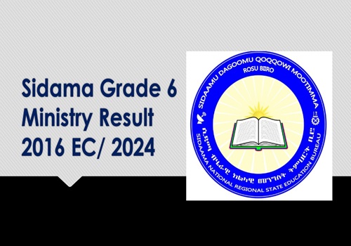 Sidama Grade 6 Ministry Result 2016/2024| Sidama Education Bureau G6 ...