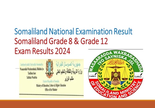 Somaliland Grade 8 & Grade 12 Results 2024| Somaliland National Exam ...