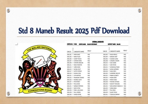 OUT-Std 8 Maneb Result 2025 Pdf Download| Malawi Standard 8 PSLCE ...