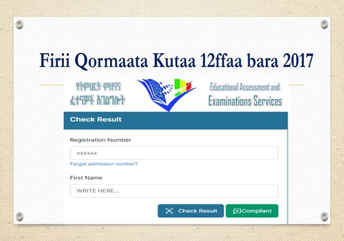 OUT-firii qormaata kutaa 12ffaa bara 2017| Akkaataa firiin qormaata ...
