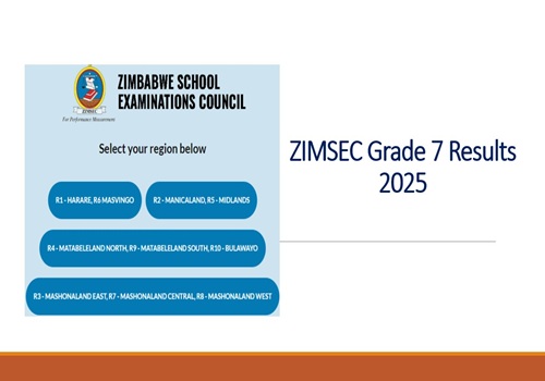 (OUT-Link) ZIMSEC Grade 7 Results 2025 Portal Login| www.zimsec.co.zw ...