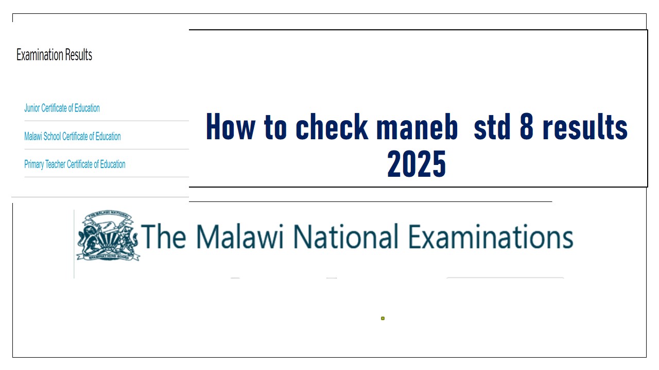 How to Check maneb Std 8 Results 2025 | Standard 8 malawi results ...
