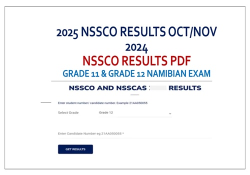 2025 NSSCO Results Oct/Nov 2024 (Released) How to Check Grade 11 ...