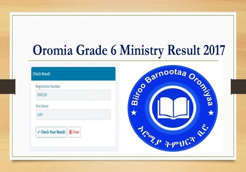 Link-Oromia Grade 6 Ministry Result 2017| Oromia Education Bureau Grade ...